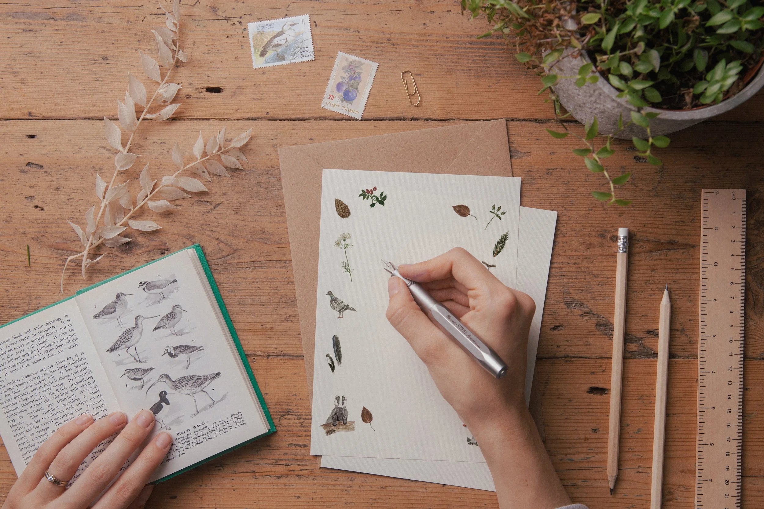 Autumn Writing Paper – Wildflower Illustration Co.