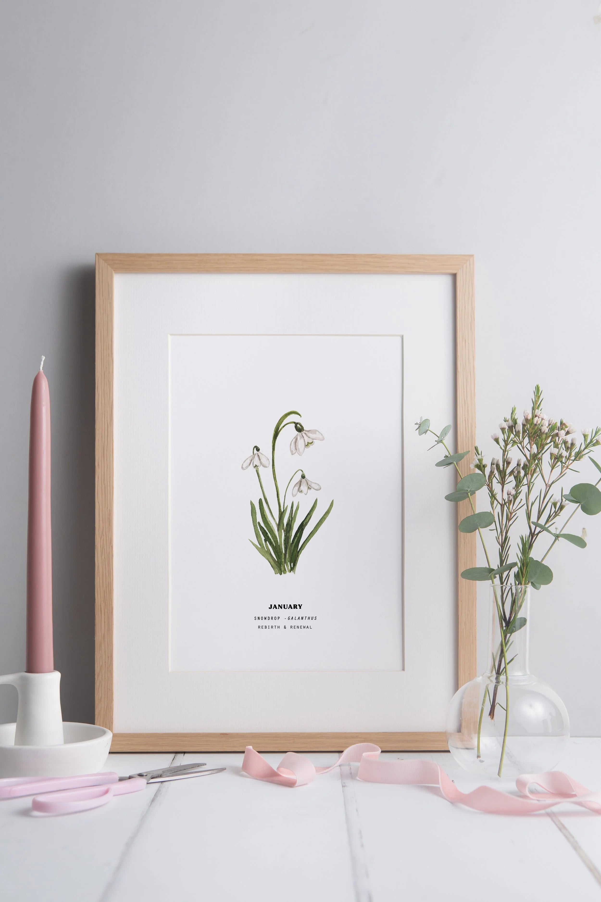 Snowdrops - January Birth Flower – Wildflower Illustration Co.