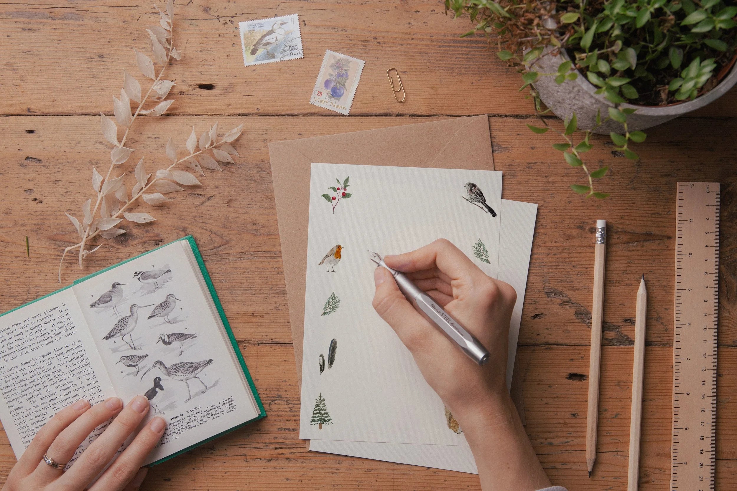 Winter Writing Paper – Wildflower Illustration Co.